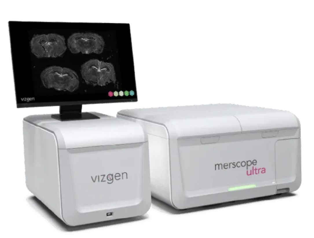 Vizgen MERSCOPE Ultra™ Spatial Imaging - Genomics Research and Technology Hub (GRT Hub)