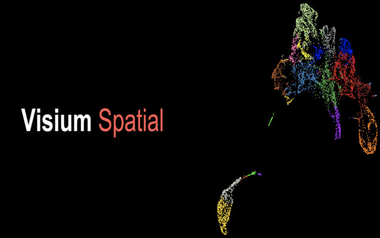 Spatial Transcriptomic Data Analysis With An Emphasis On 10x Genomics